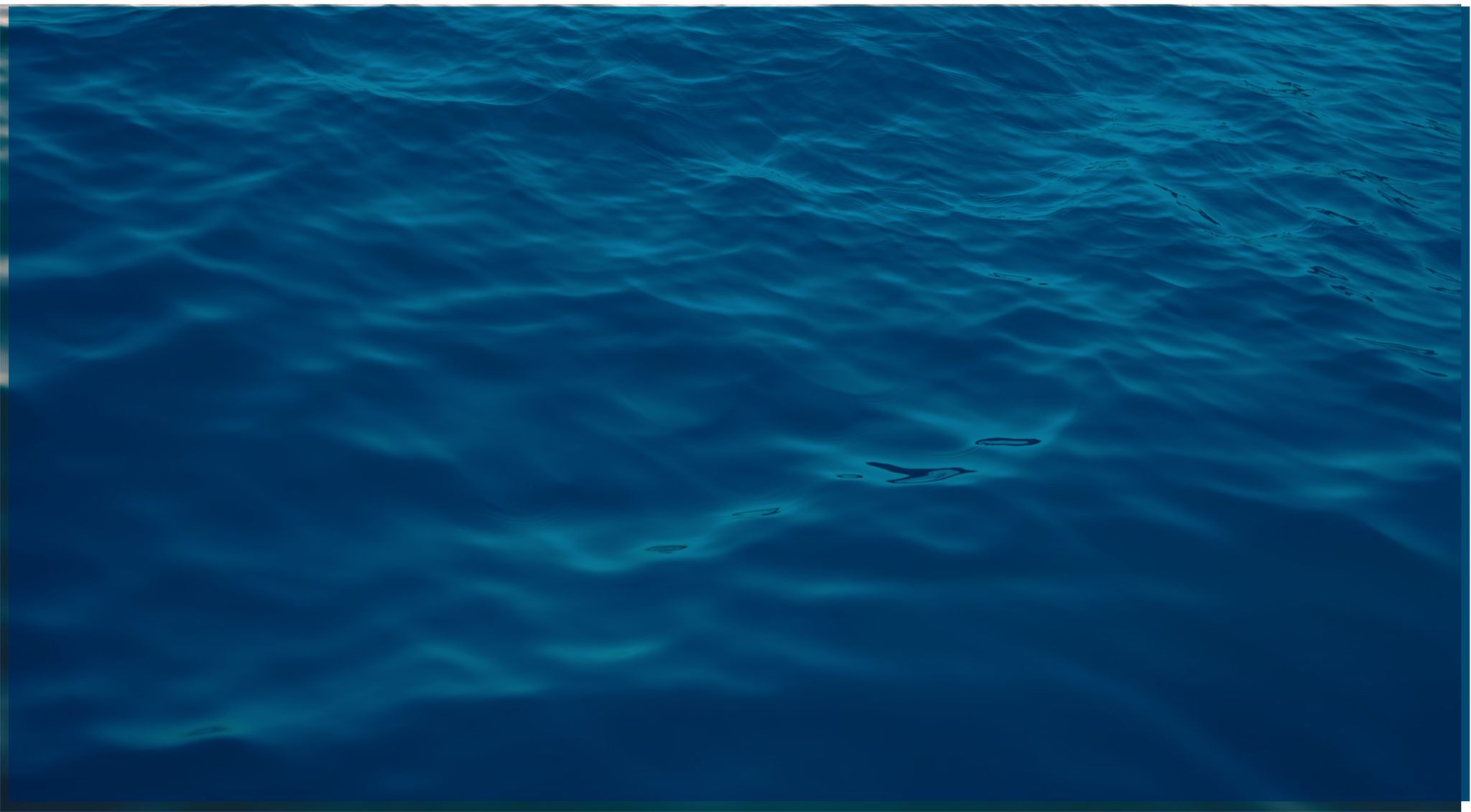 Homes | New Homes For Sale at Seaire