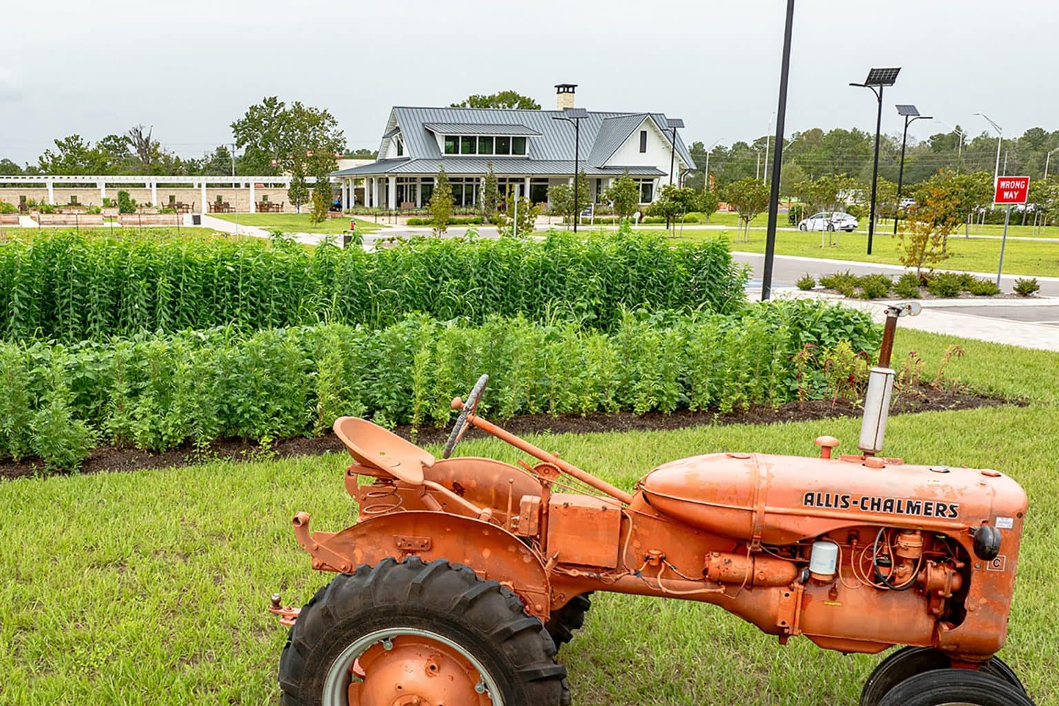 Angeline | Metro Development Group