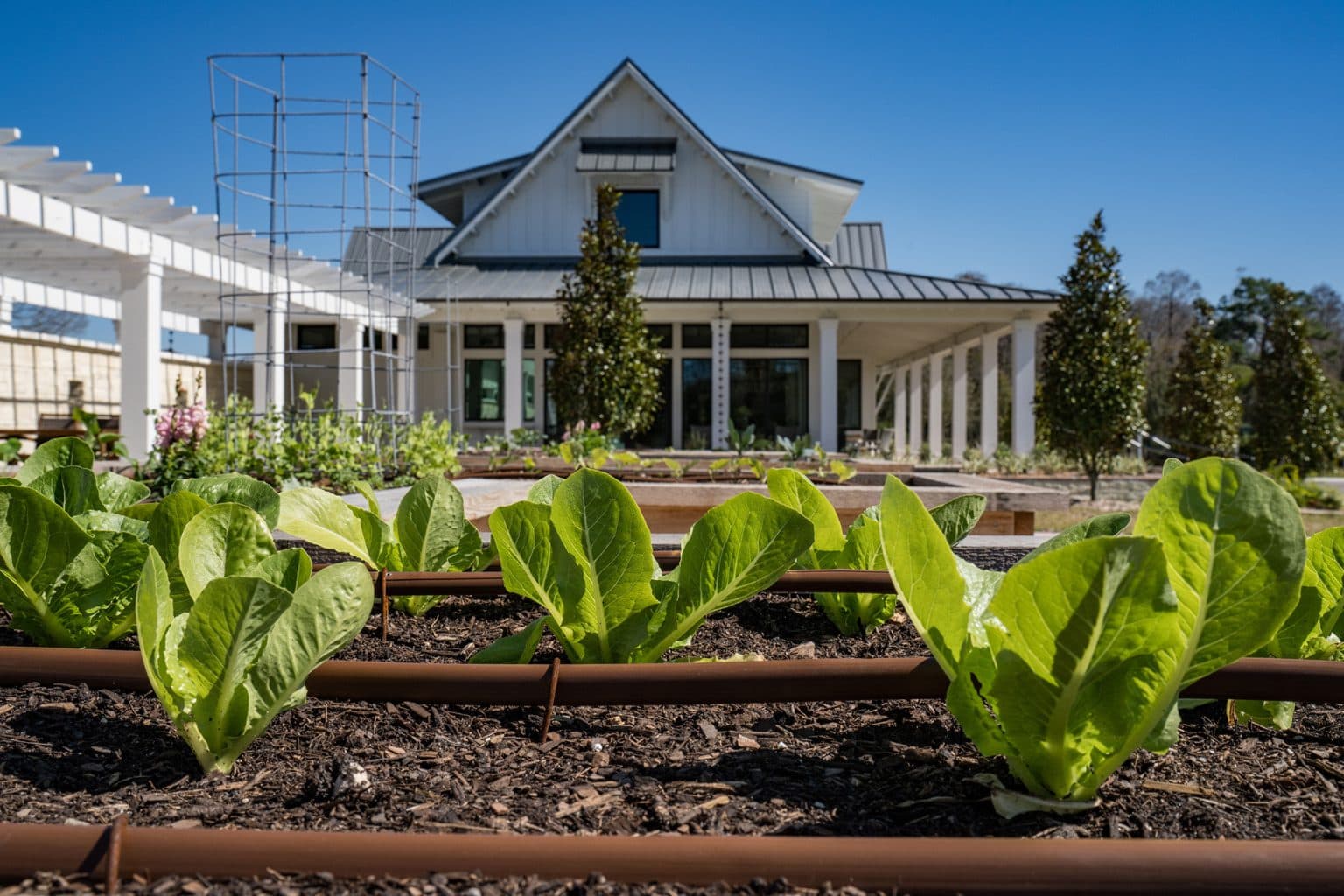 Metro Development Group - Turning Land Into Lifestyle