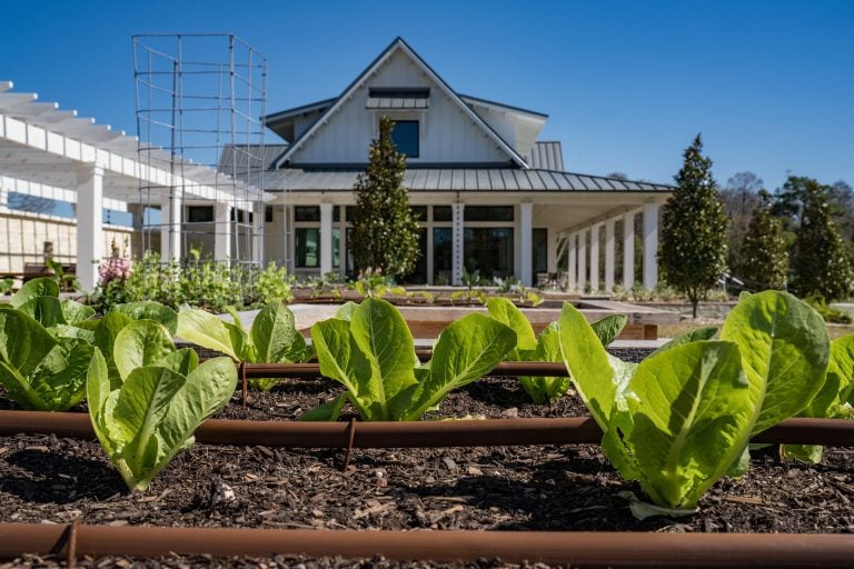 Metro Development Group - Turning Land Into Lifestyle