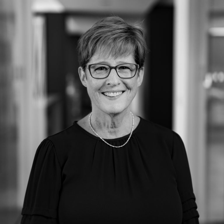 About Metro Development Group